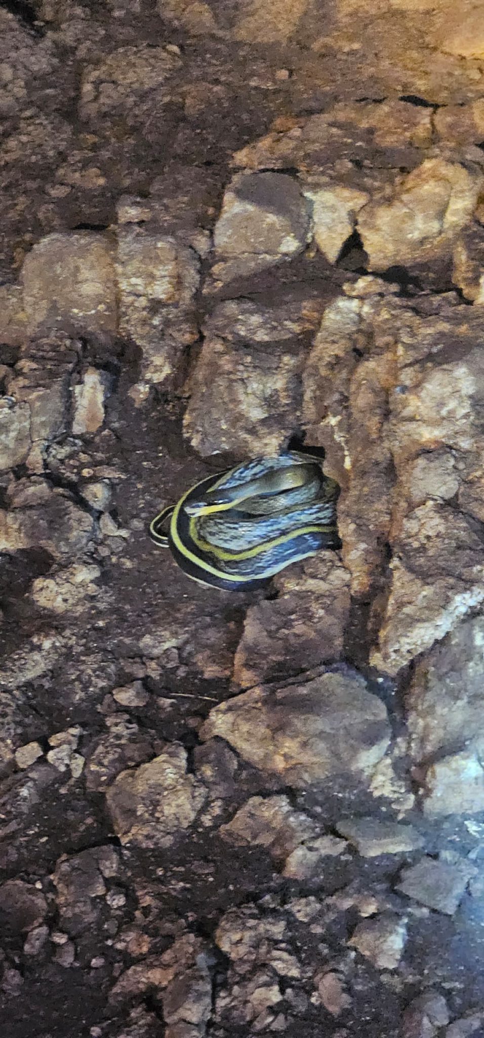 RAINFOREST CAVE ADVENTURE – AJ Borneo Tours & Travels