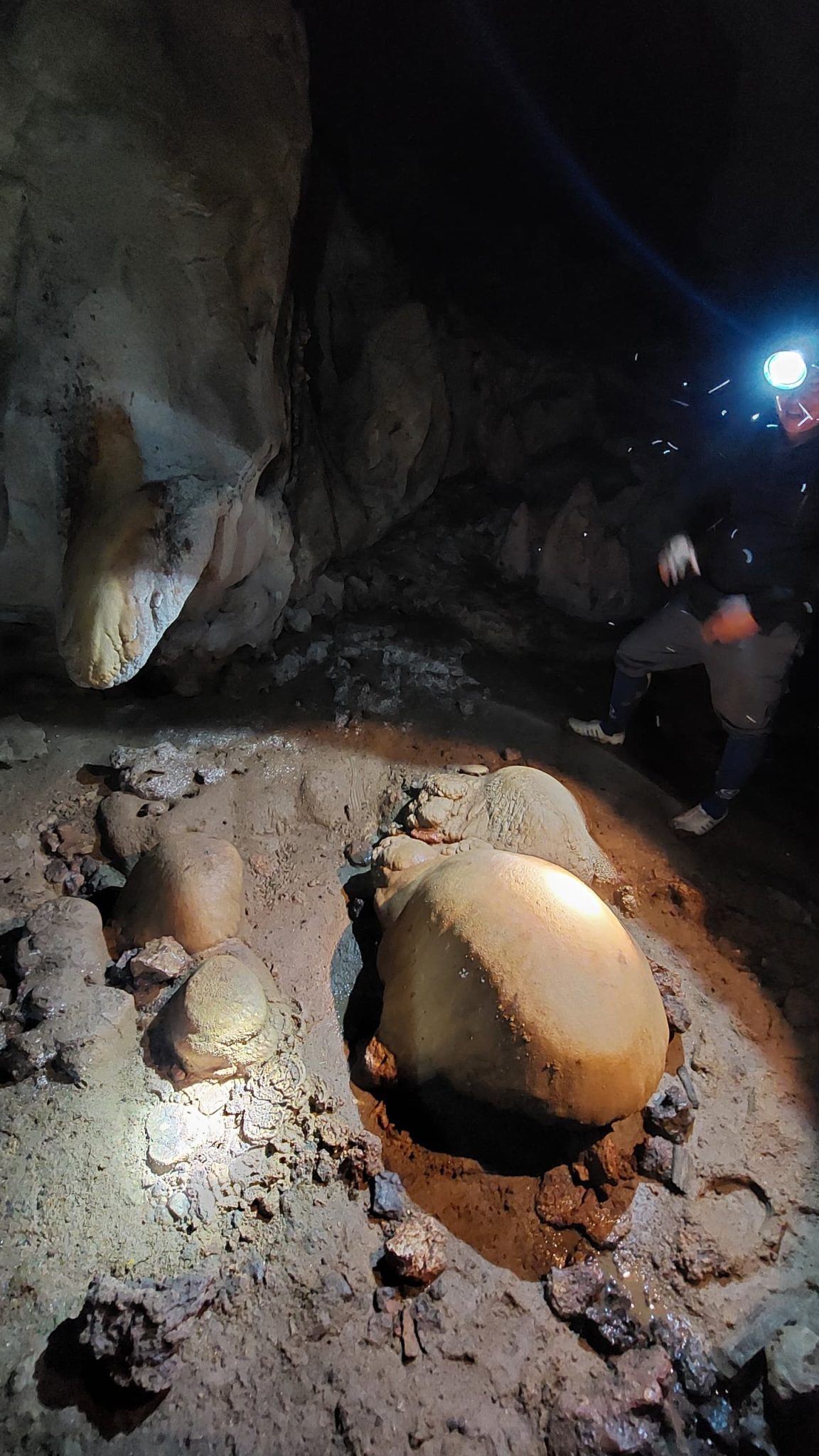 RAINFOREST CAVE ADVENTURE – AJ Borneo Tours & Travels