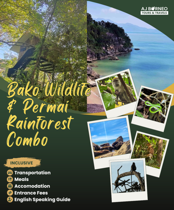 BAKO WILDLIFE & PERMAI RAINFOREST 2D1N – AJ Borneo Tours & Travels